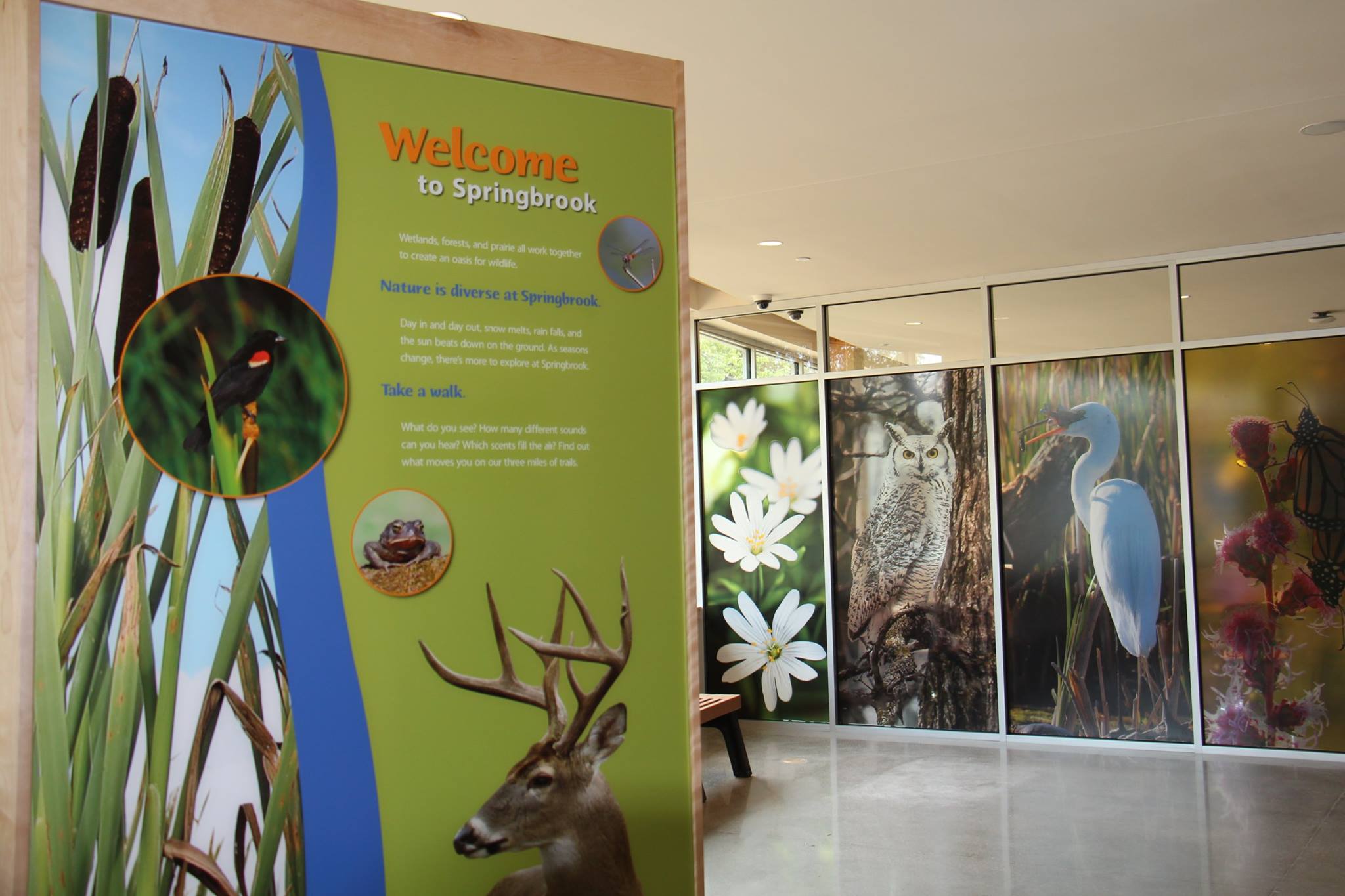 Springbrook Nature Center - Minneapolis / St. Paul Things to Do in the ...