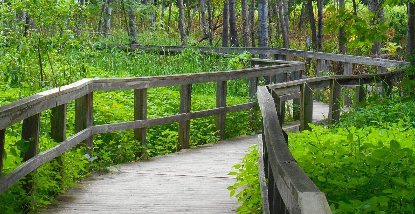 Minneapolis / St. Paul Things to Do in the Twin Cities Gateway