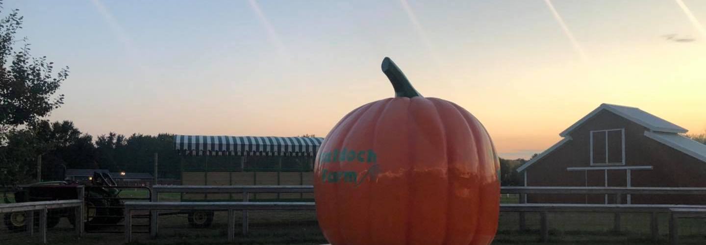 Flashlight Nights at Joyer Adventure Farm - Twin Cities Gateway